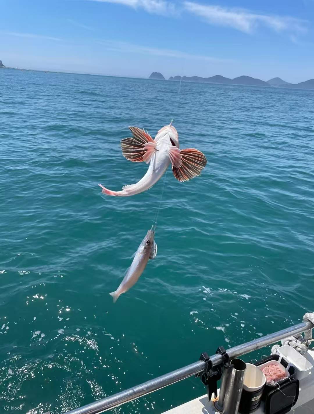 [Kagoshima Shinko/Ibusuki Yamakawa Port/Kirishima Hayato Port Shared ...